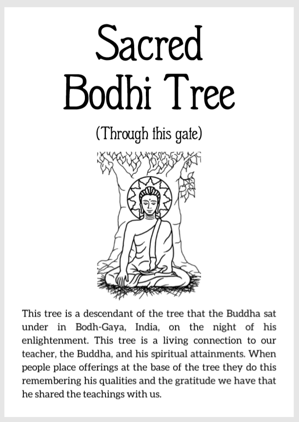 Signs and Forms – banaEnglish.org